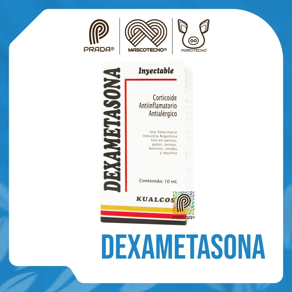 DEXAMETASONA X 10 ML | PRADA SABINC