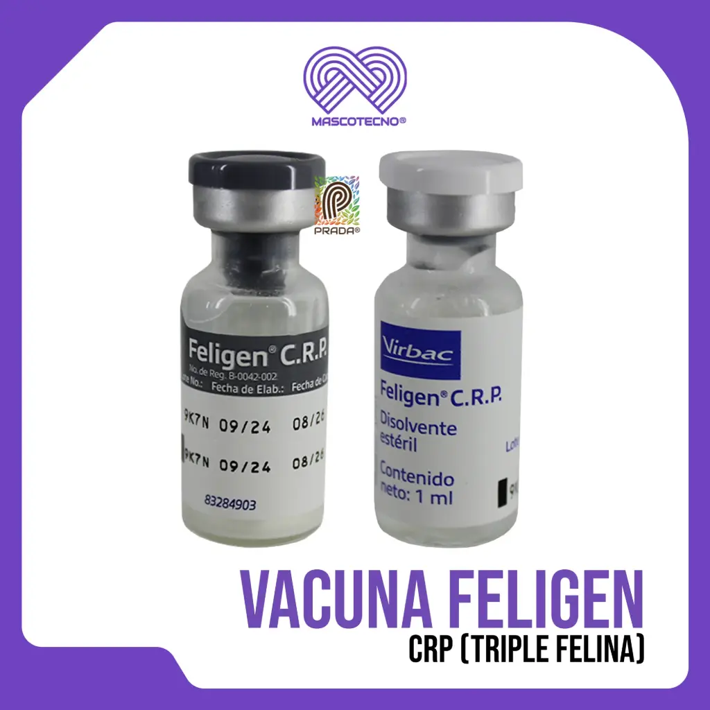 VACUNA FELIGEN CRP (TRIPLE FELINA) | MASCOTECNO
