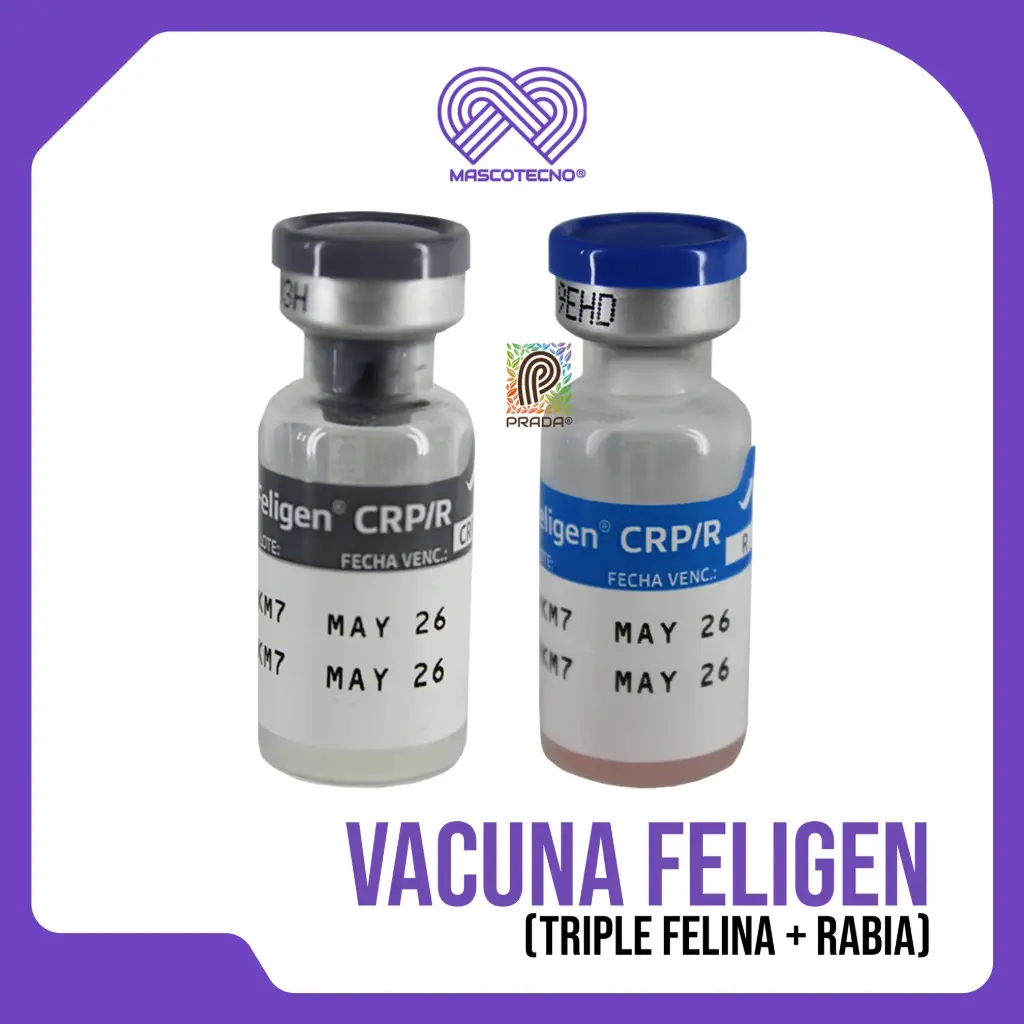 VACUNA FELIGEN+RABIA (TRIPLE FELINA+RABIA) | MASCOTECNO