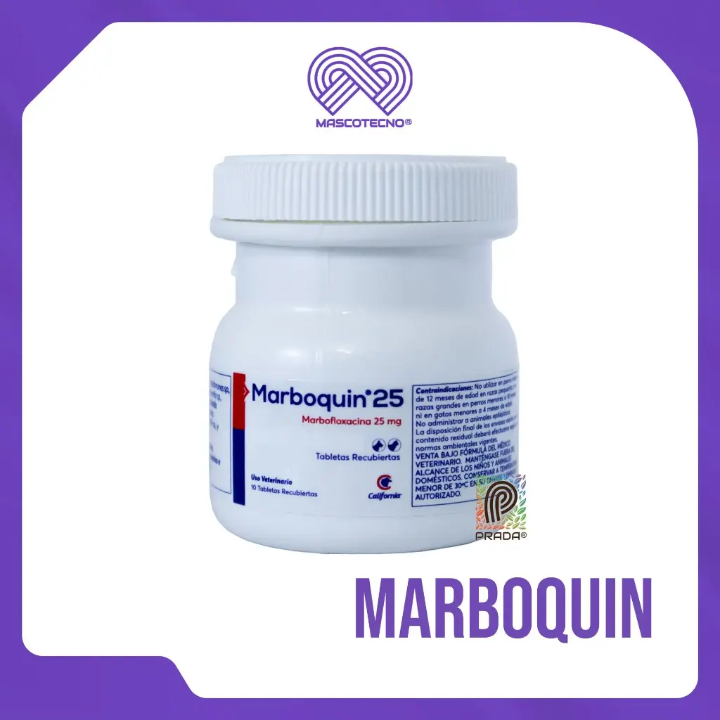 MARBOQUIN 25MG TAB X 10 UND | PRADA SABINC