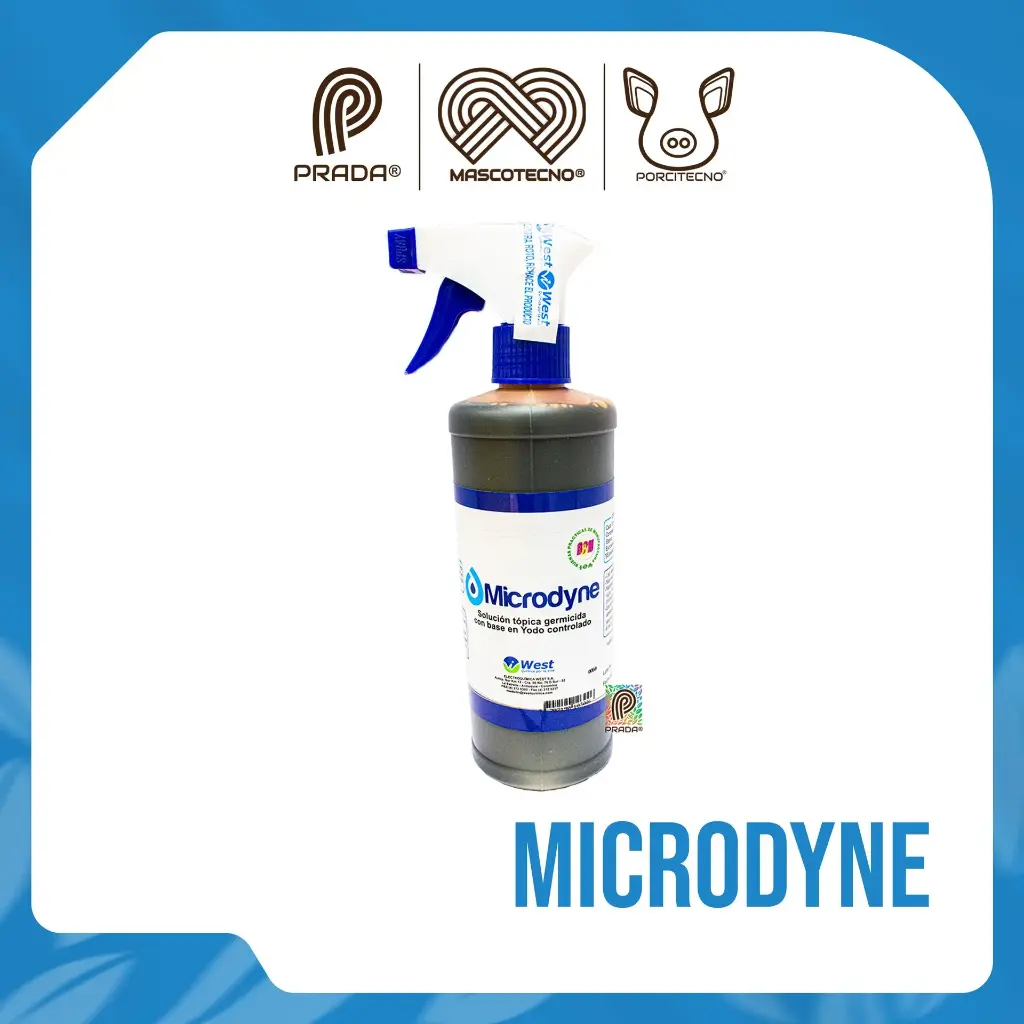 MICRODYNE X 480 GR {M} | PRADA SABINC