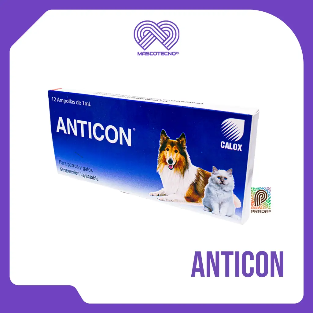 ANTICON INY AMP x 1 ML | MASCOTECNO